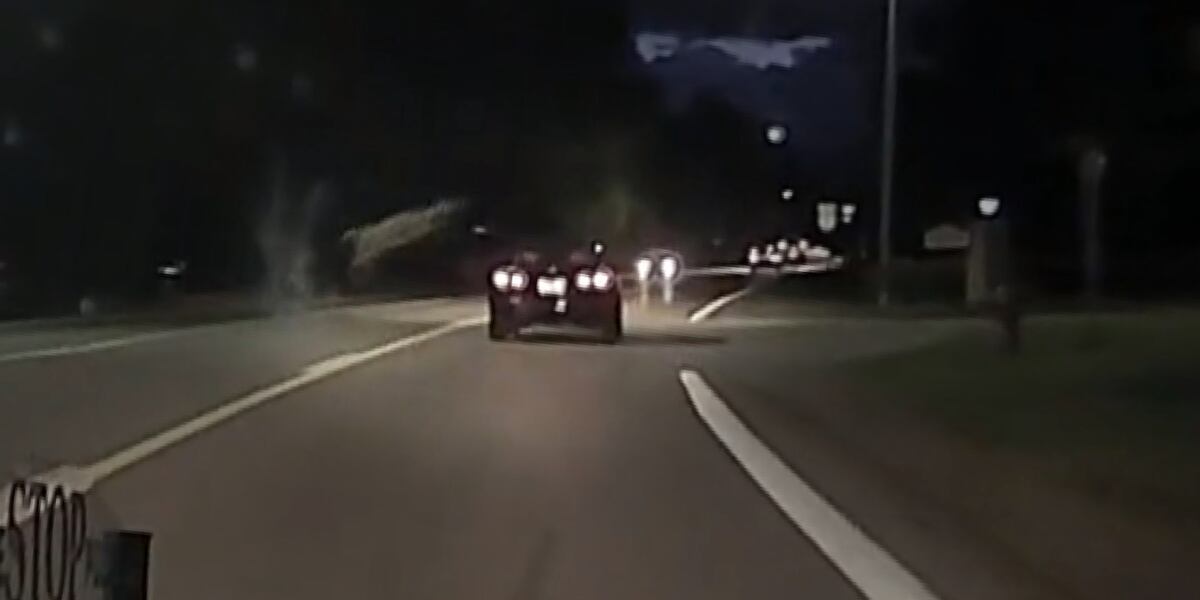 Michigan State Police dashcam captures deer leap over car Michigan State Police dashcam captures deer leap over car